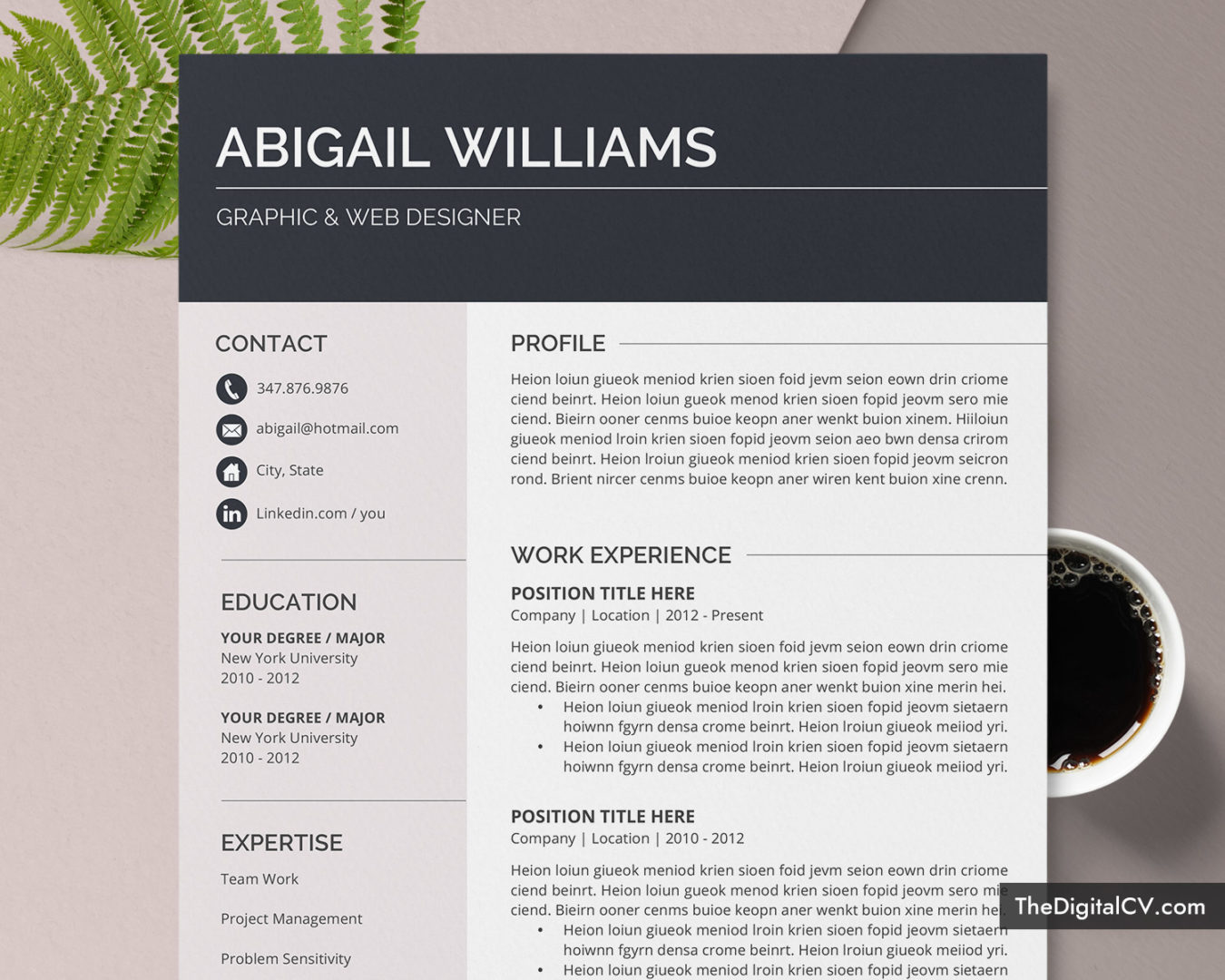 CV Template for MS Word, Professional Resume Template, Curriculum Vitae ...