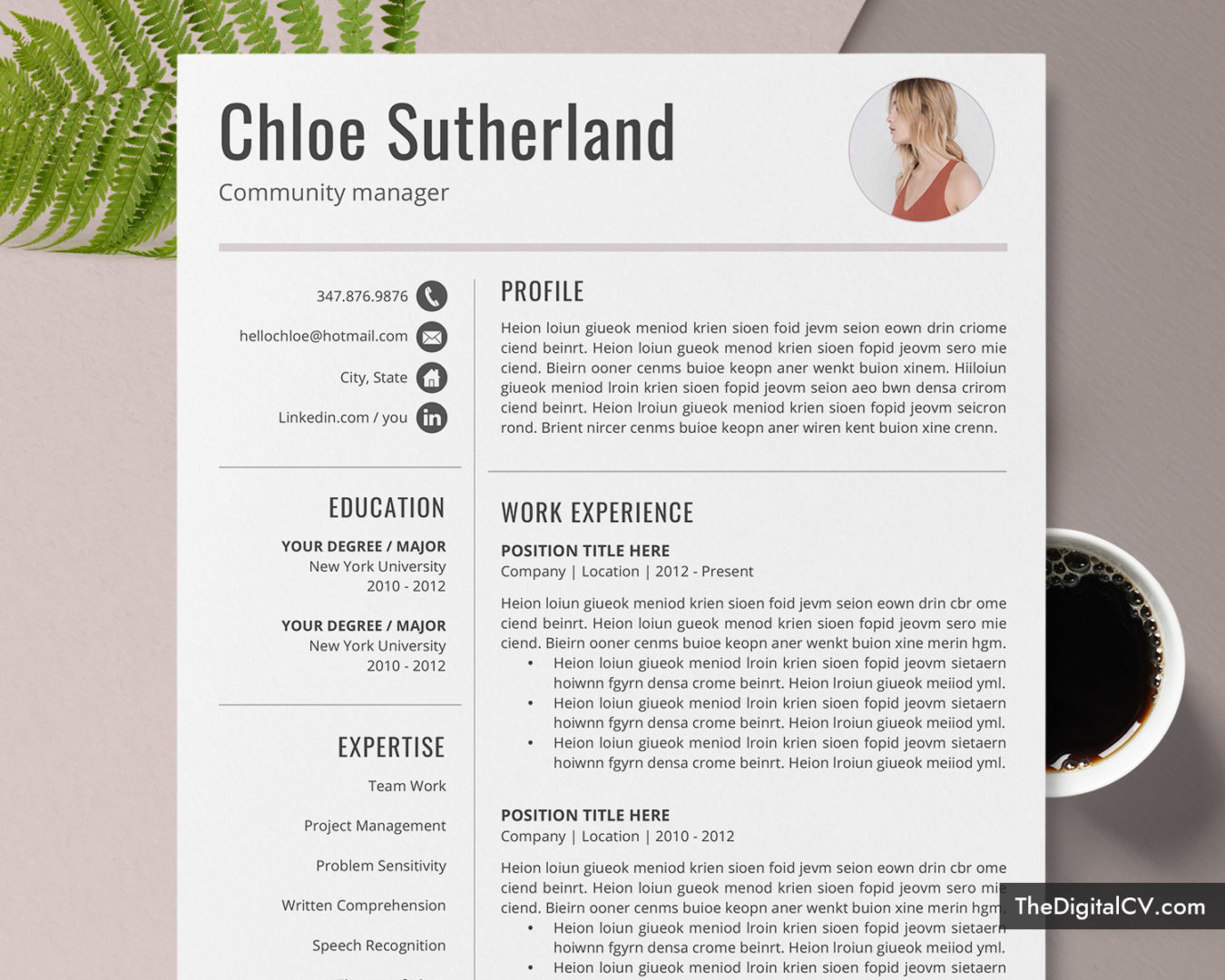 CV Template for MS Word, Professional Resume Template, Curriculum Vitae ...