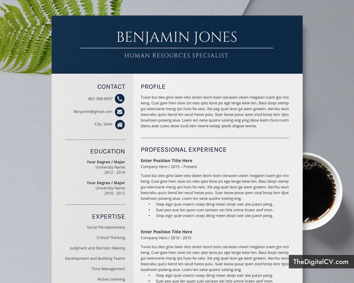 15+ Professional and Clean Resume / CV Templates without Photo ...