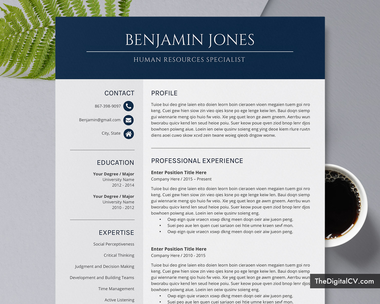 Format Of Cv For Job Application 12 CV Templates For Job Application 