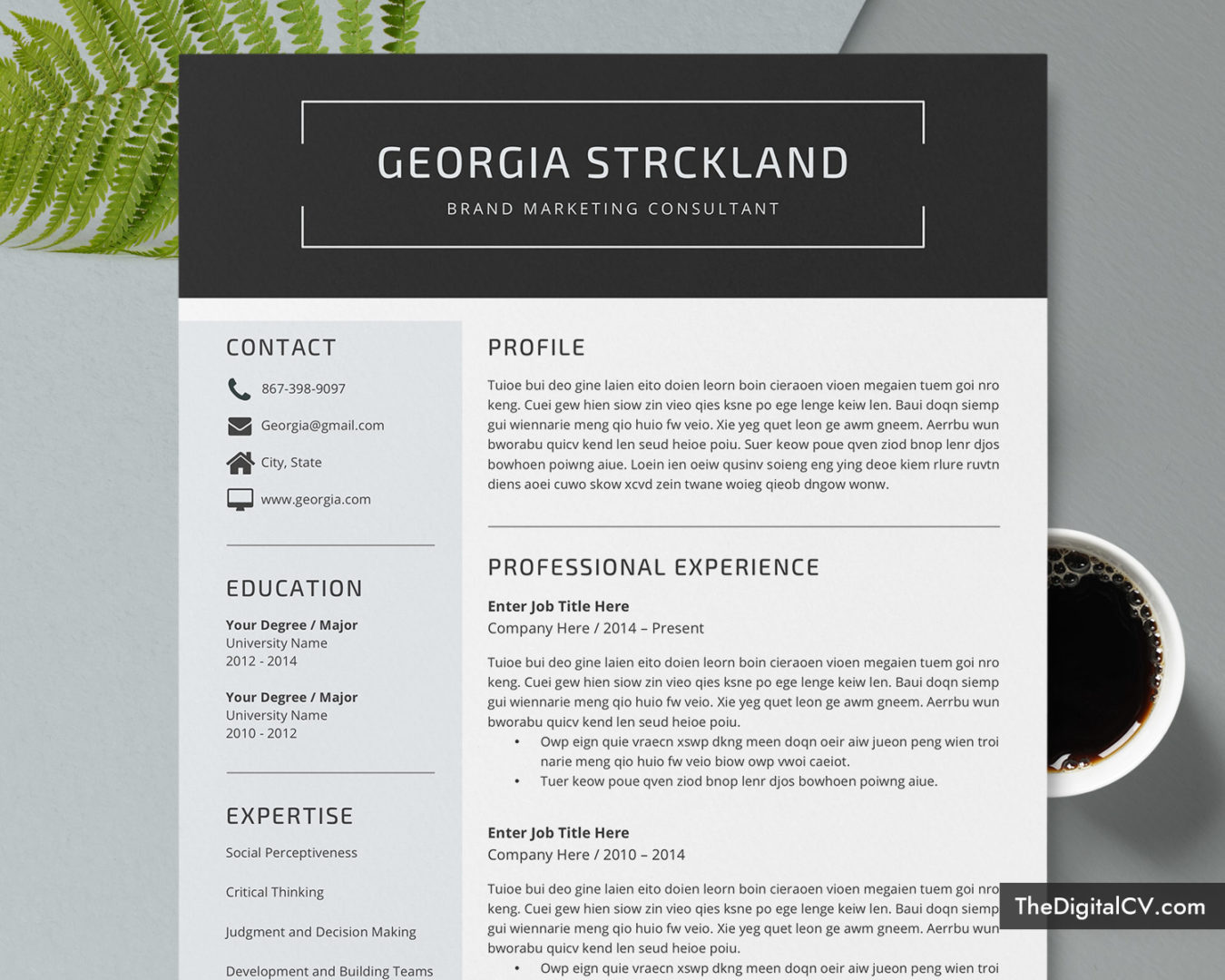 15+ Professional and Clean Resume / CV Templates without Photo ...