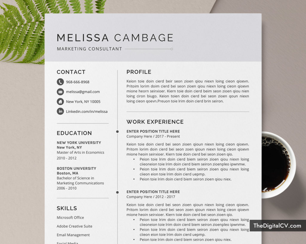 15+ Professional and Clean Resume / CV Templates without Photo ...