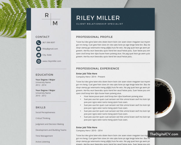 15+ Professional and Clean Resume / CV Templates without Photo ...