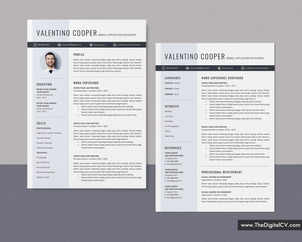 Professional CV Template for Job Application, MS Word Resume Template ...